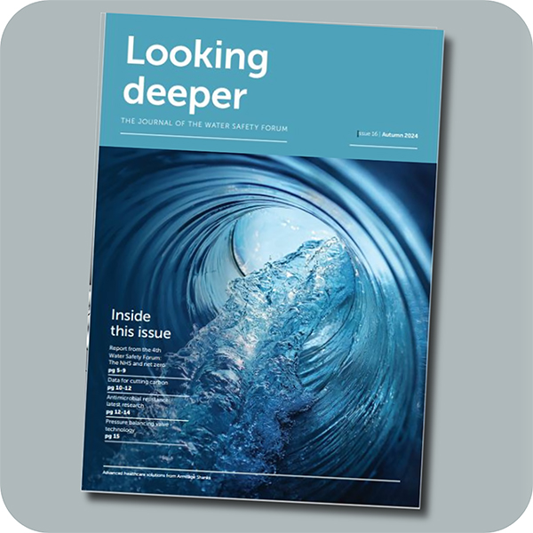 View Looking Deeper Journal